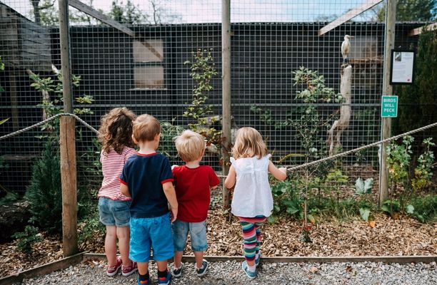 Wild Discovery Animal Experience & Feeding | Ribby Hall Village