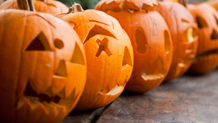 Activities | Activities in the North West | Ribby Hall Village