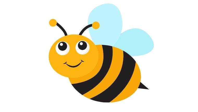 Activities | Activities in the North West | Ribby Hall Village