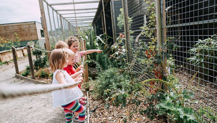 Wild Discovery Animal Experience & Feeding | Ribby Hall Village