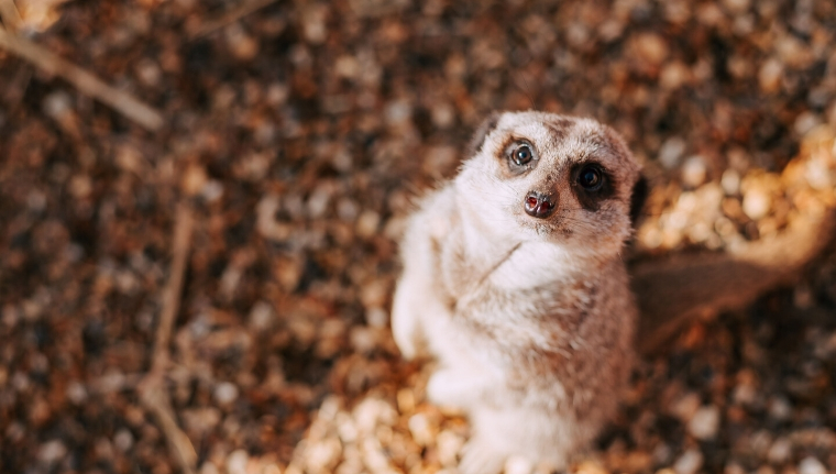 Activities | Activities in the North West | Ribby Hall Village